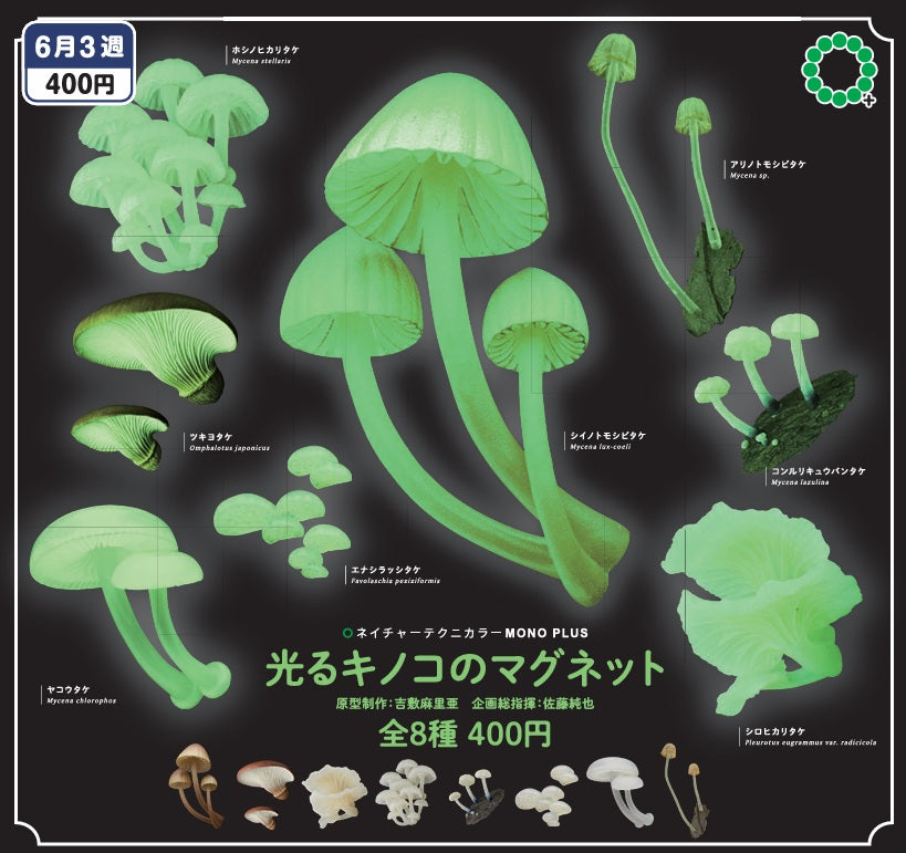 NTC MONO＋光るキノコのマグネット【いきもん】┃ガチャガチャ侍 | ガチャガチャ侍